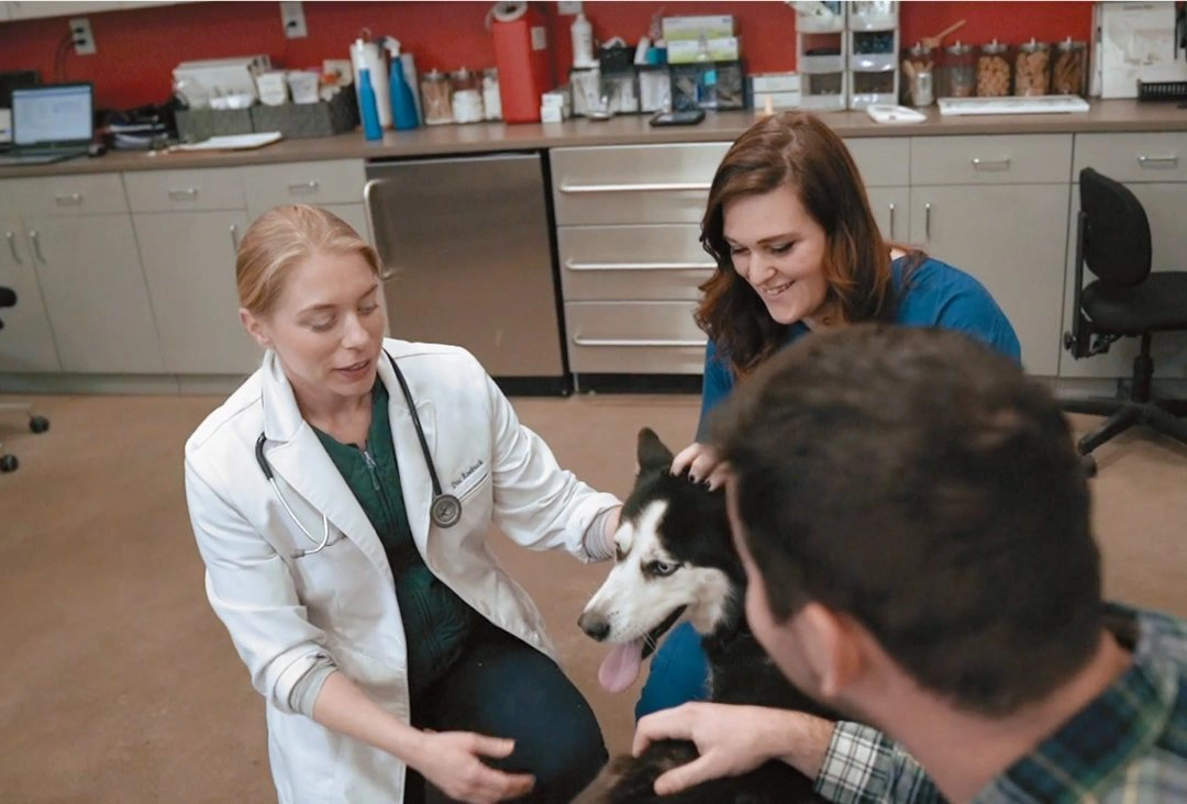 Full-Time Vets | VIP Petcare