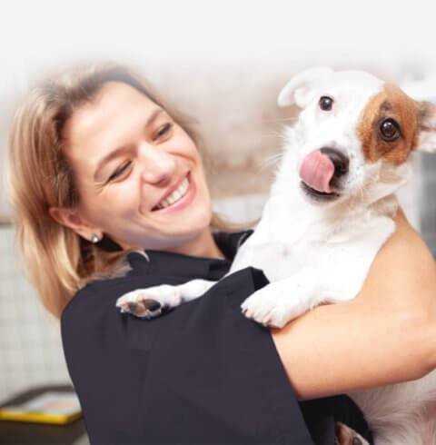 Help Center | VIP Petcare Clinics