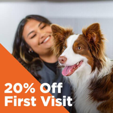 Current Promotions | VIP Petcare