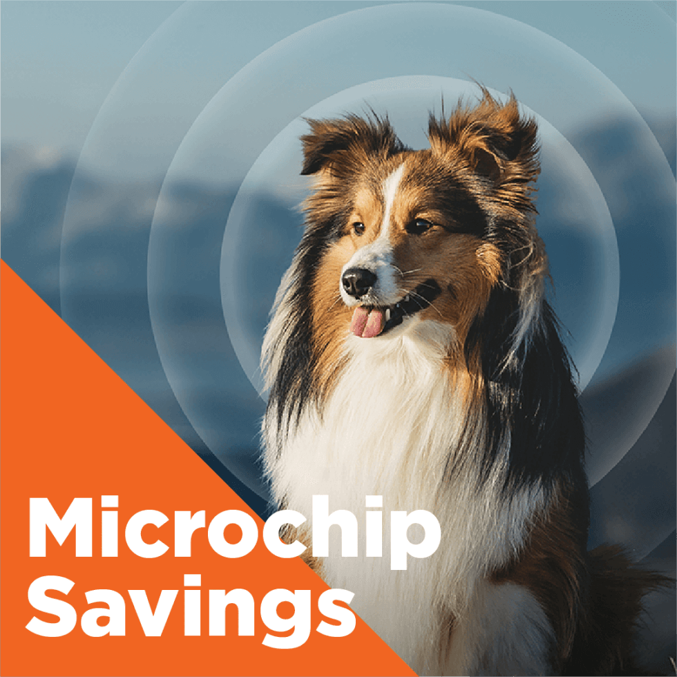 Current Promotions | VIP Petcare