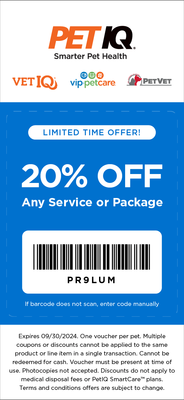 Your Pet Is Our Priority | VIP Petcare