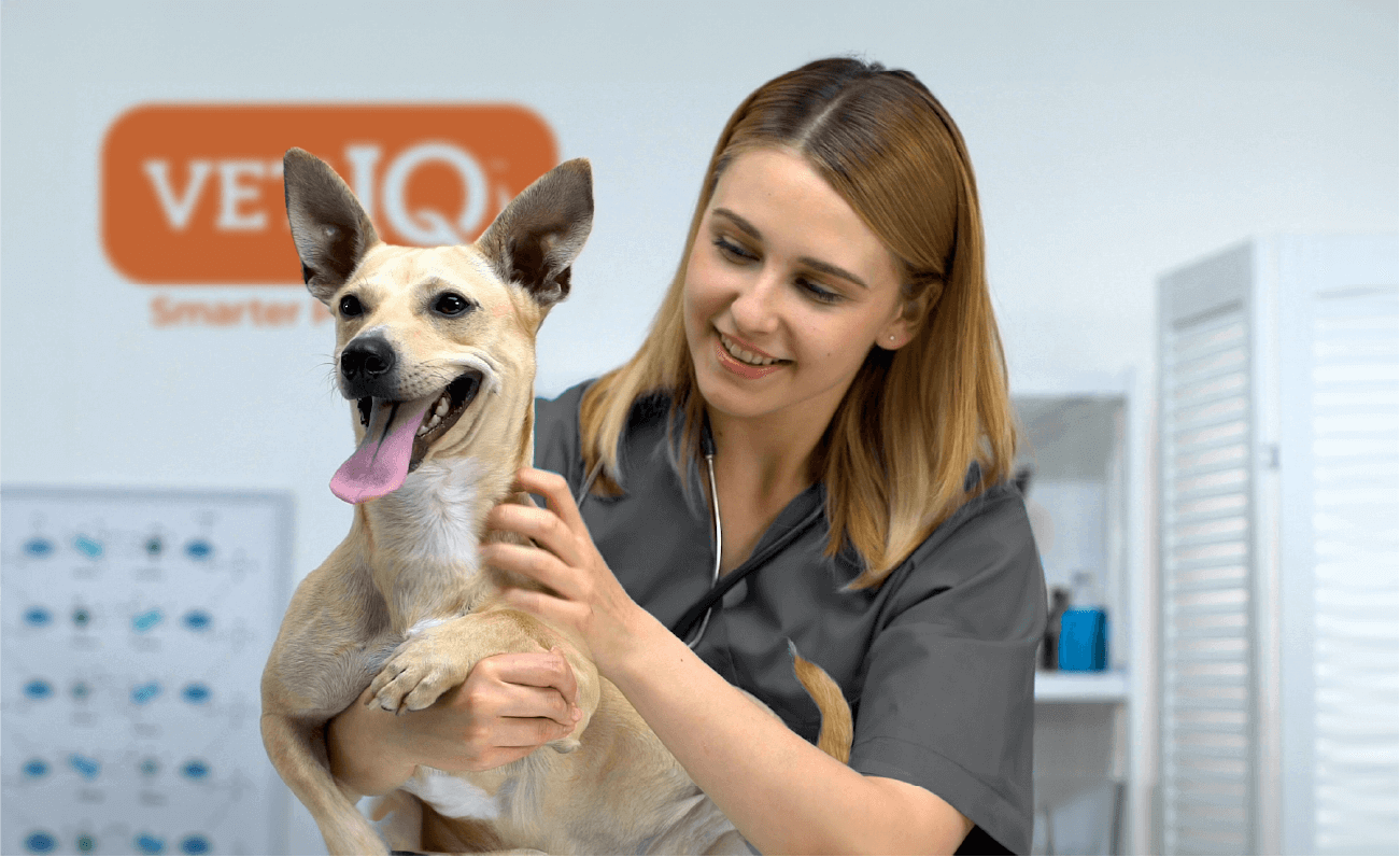 Your Pet Is Our Priority | VIP Petcare