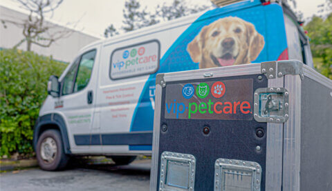 Your Pet Is Our Priority | VIP Petcare