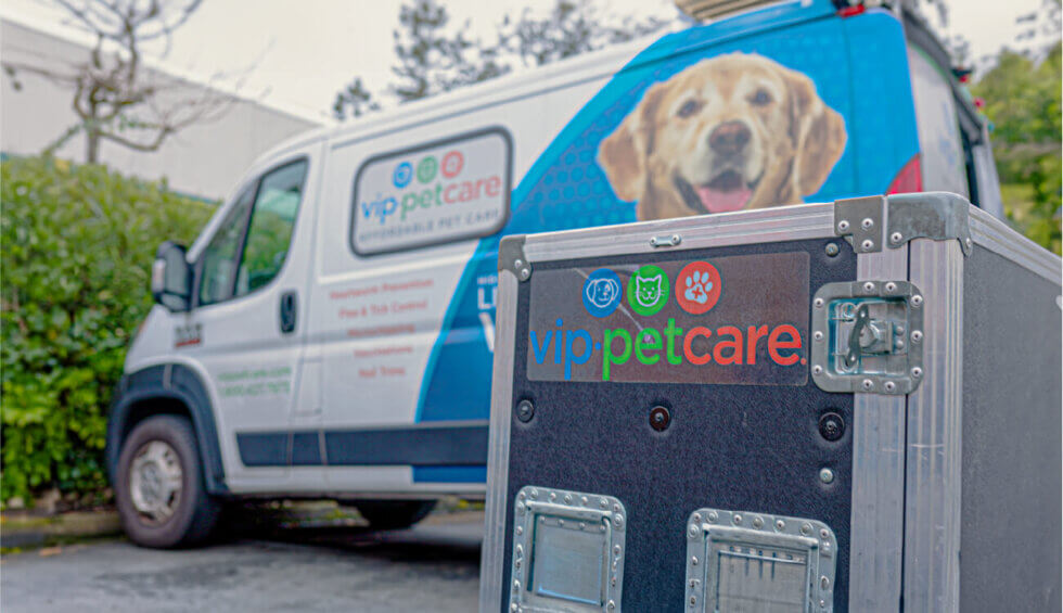 Easy & Convenient Vaccination Clinics | VIP Petcare