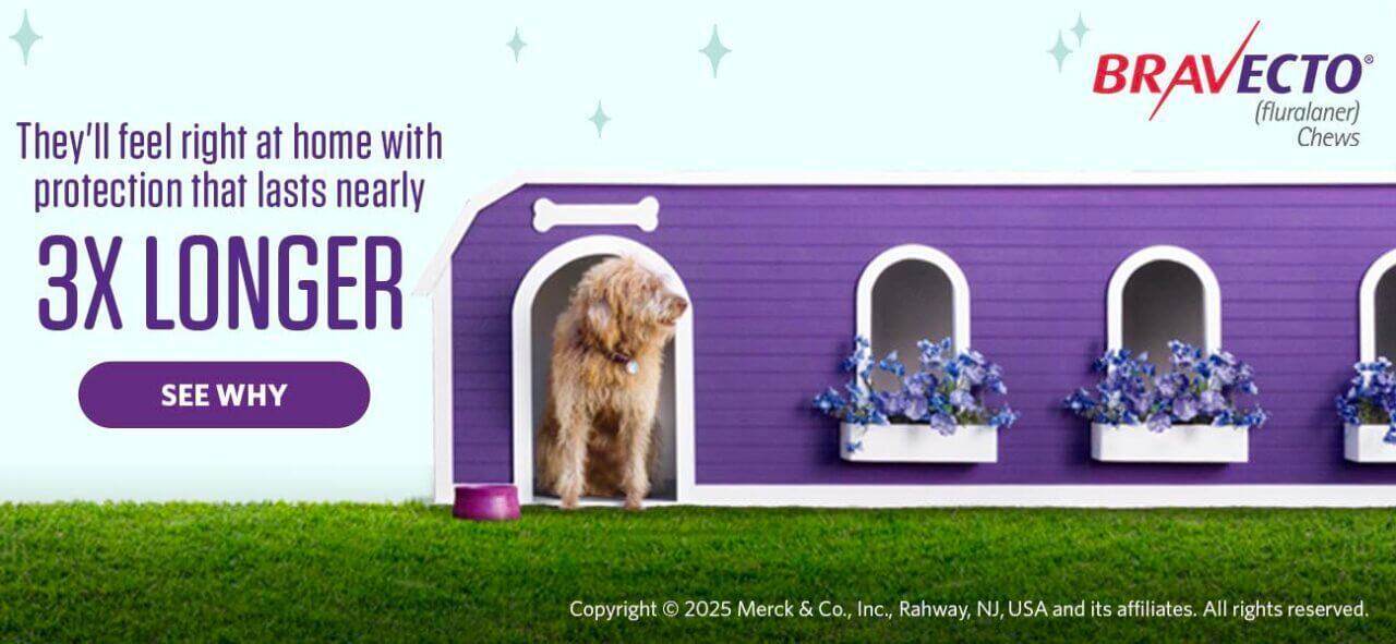 Shop Online for Pet Supplies & Medications | VIP Petcare