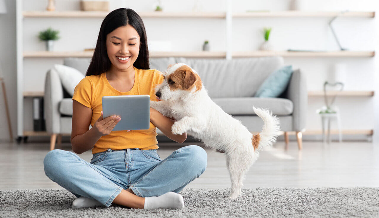 Your Pet Is Our Priority | VIP Petcare