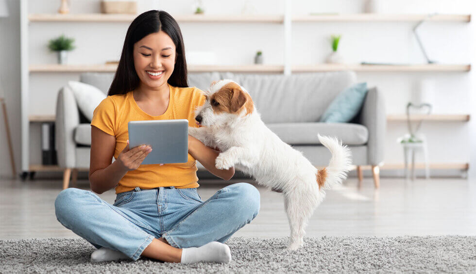 Your Pet Is Our Priority | VIP Petcare