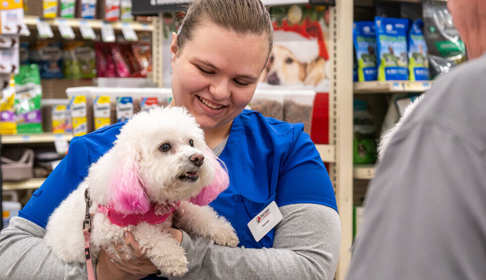 Your Pet Is Our Priority | VIP Petcare