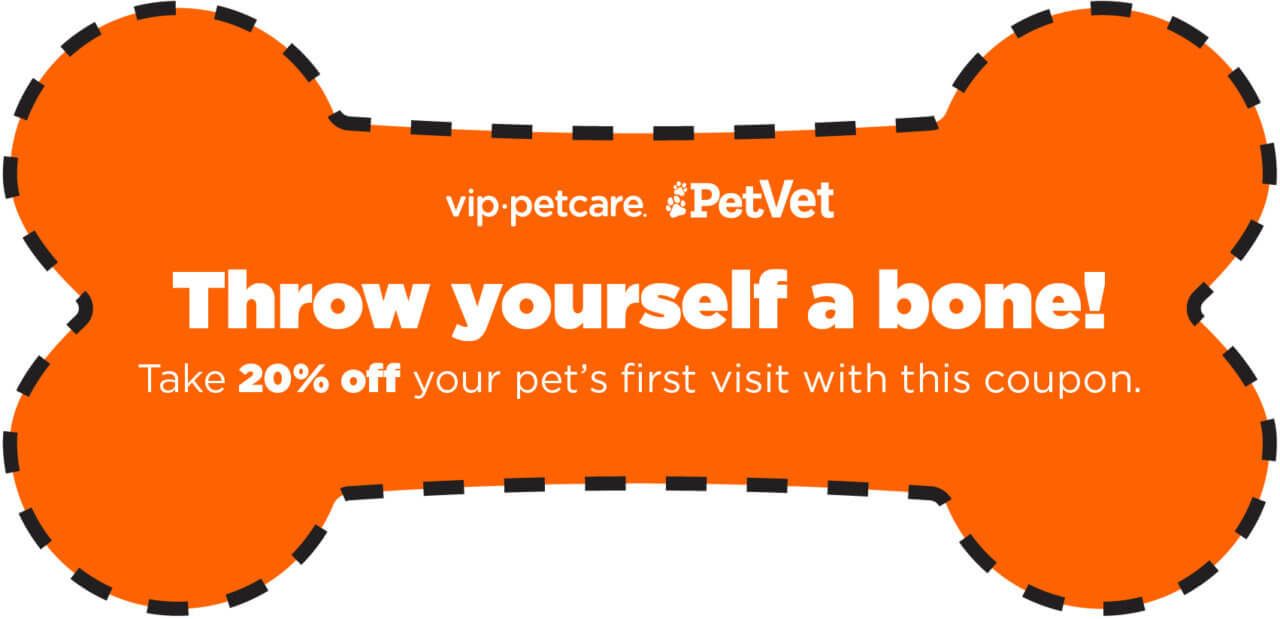 Affordable Pop-up Vet Clinics | VIP Petcare