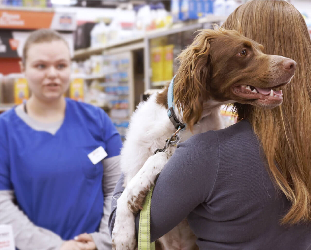 Affordable Pop-up Vet Clinics | VIP Petcare