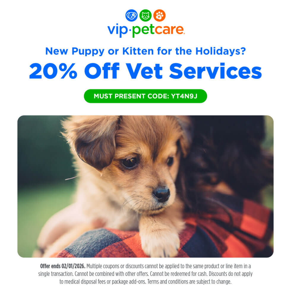 Current Promotions | VIP Petcare