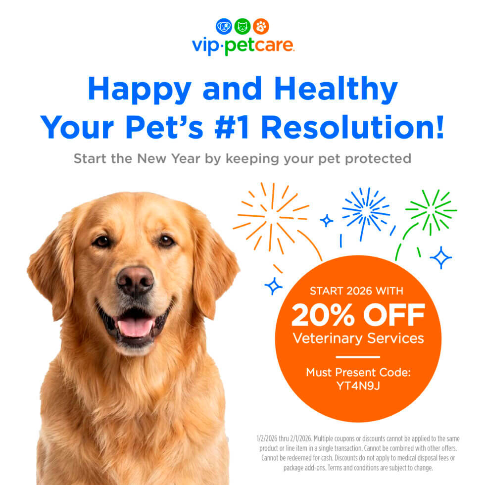 Current Promotions | VIP Petcare