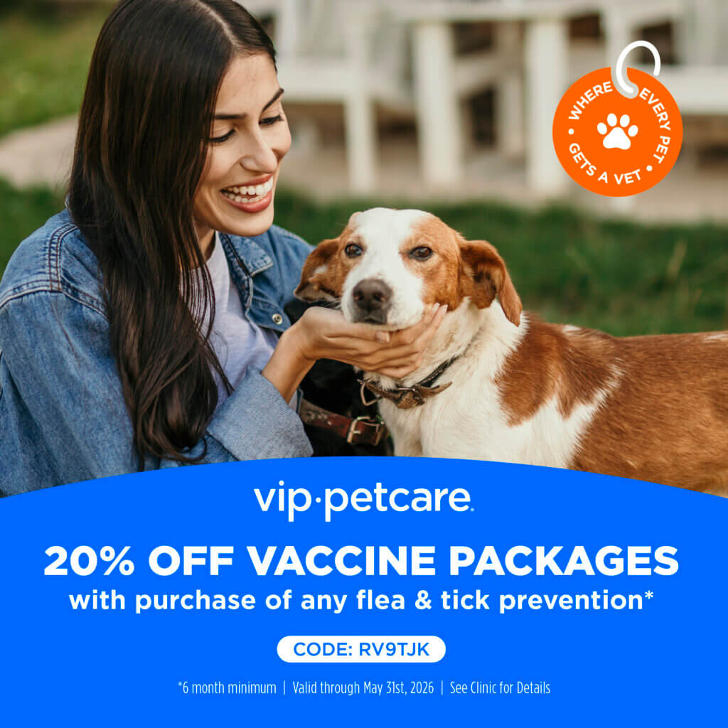 Current Promotions | VIP Petcare